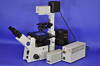 Fluorescence Microscopes - Olympus IX71 Inverted Fluorescence Phase ...